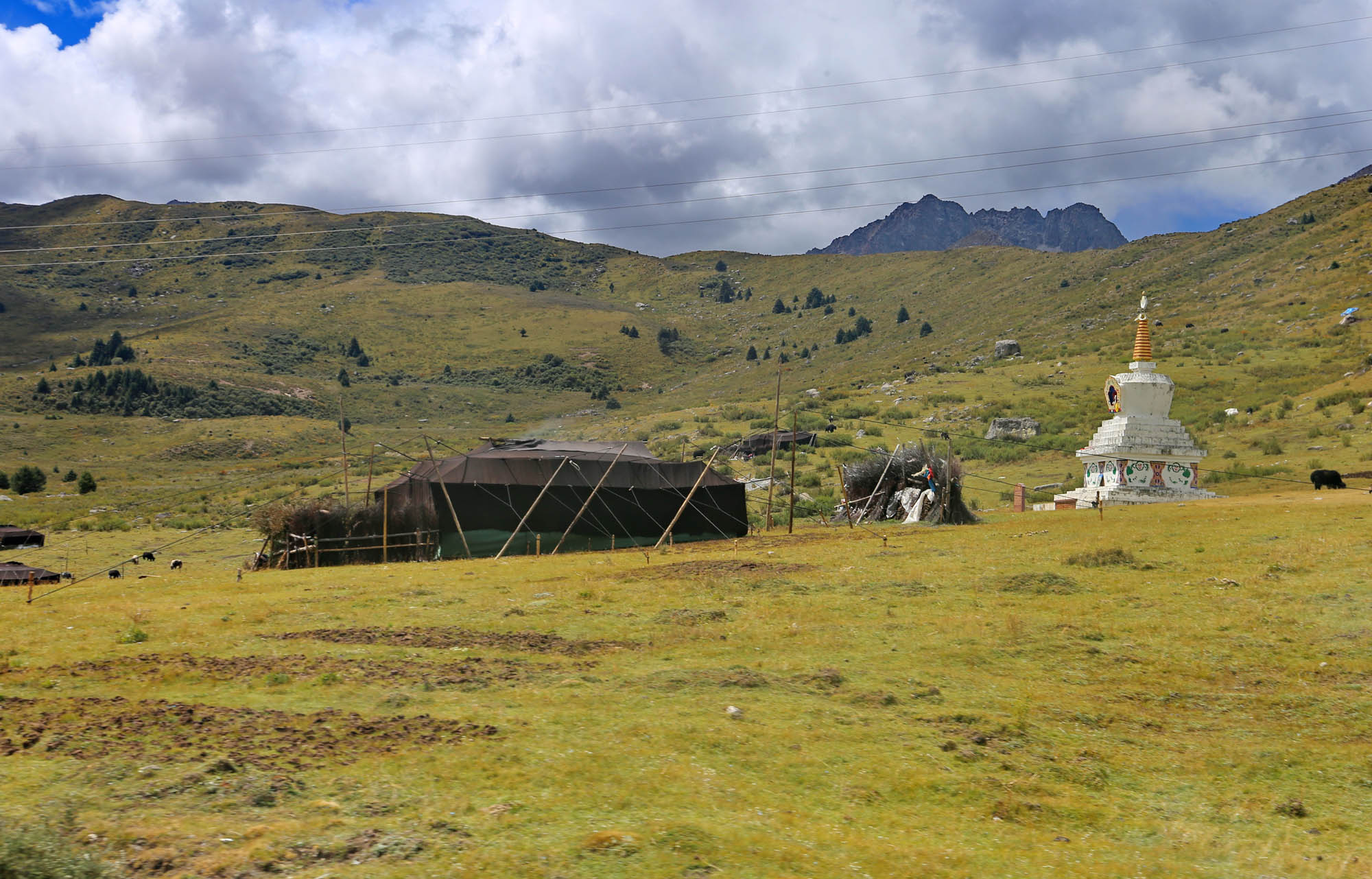 Poemas del río Wang: On the border of two Tibets. Dzokchen Monastery ...