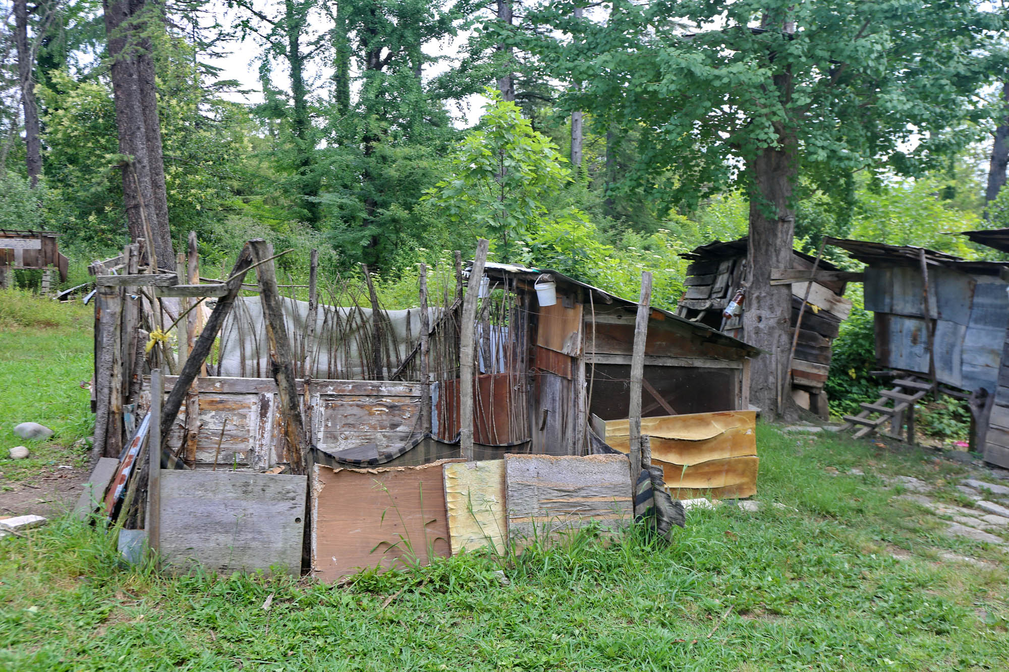 Poemas del río Wang