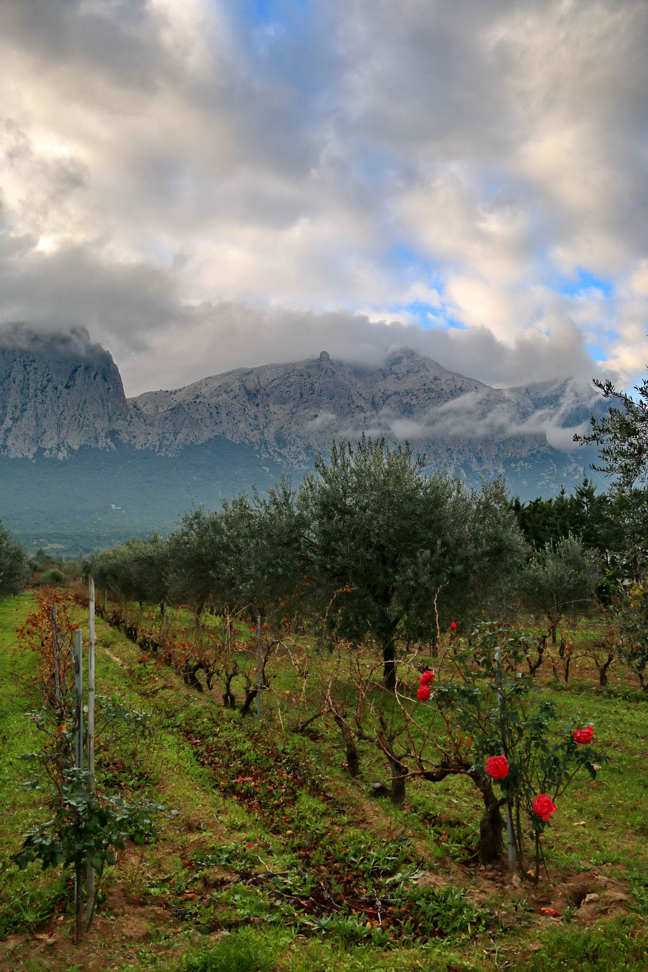 Poemas del río Wang: A cave on Mount Tiscali