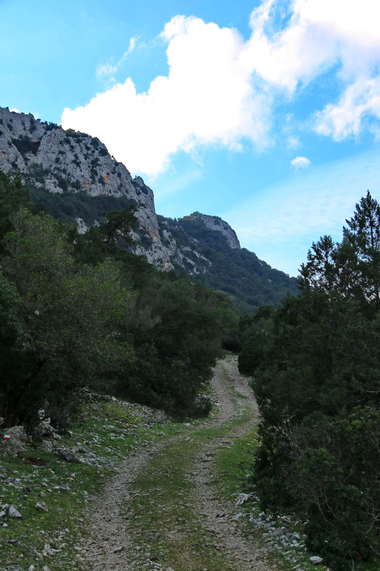 Poemas del río Wang: A cave on Mount Tiscali