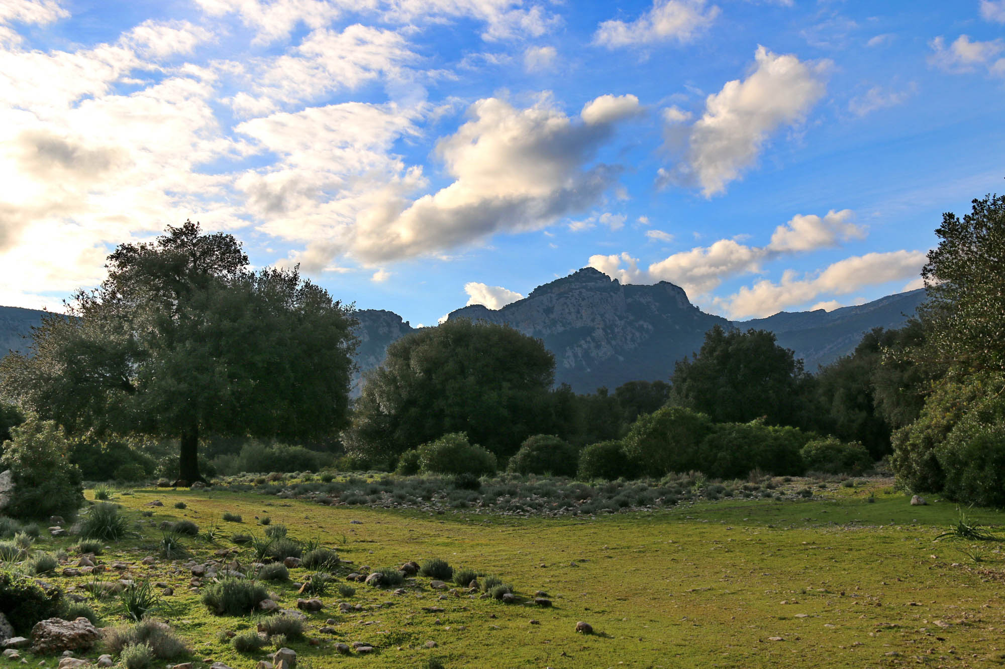 Poemas del río Wang: A cave on Mount Tiscali