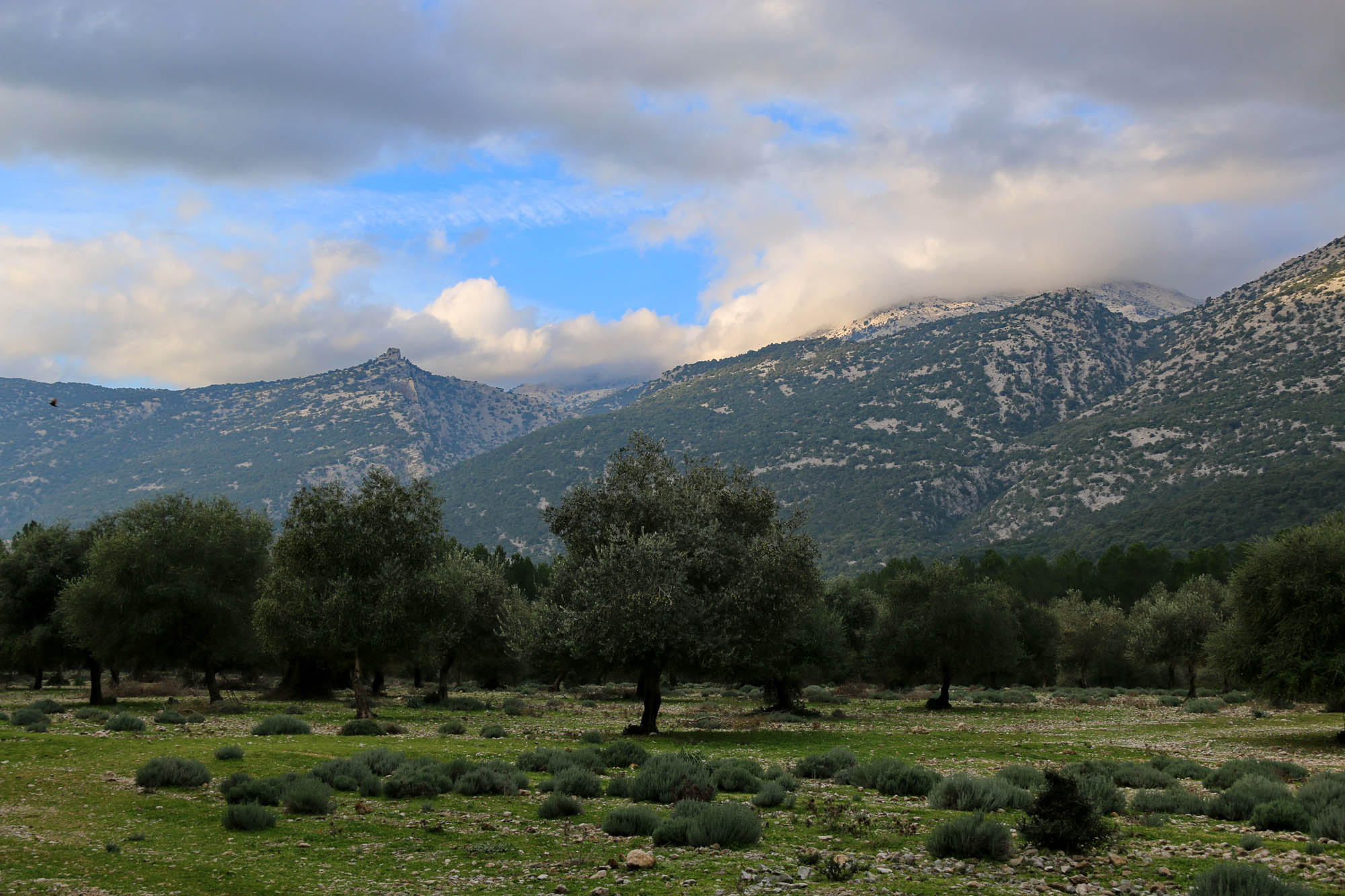 Poemas del río Wang: A cave on Mount Tiscali