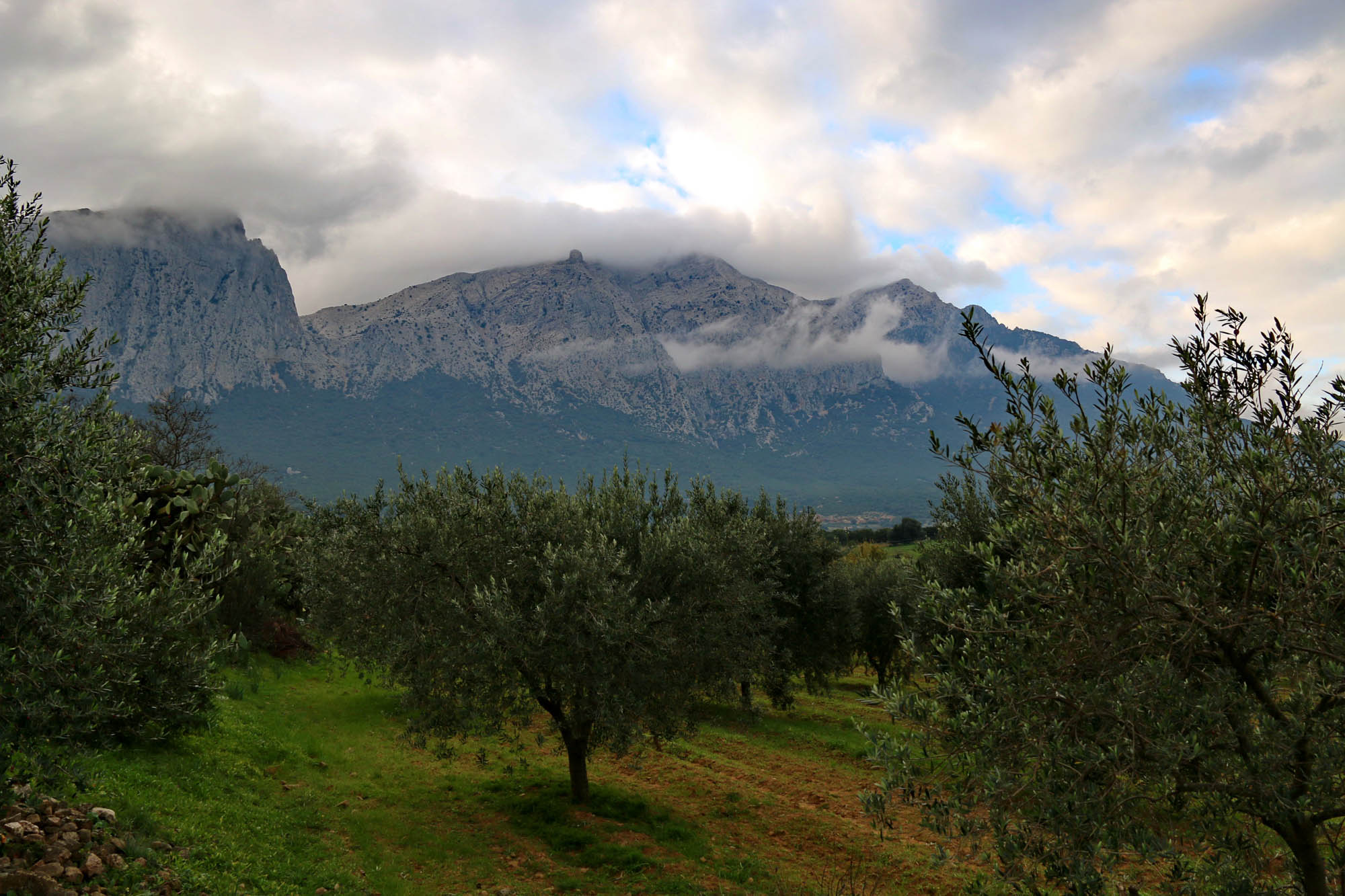 Poemas del río Wang: A cave on Mount Tiscali