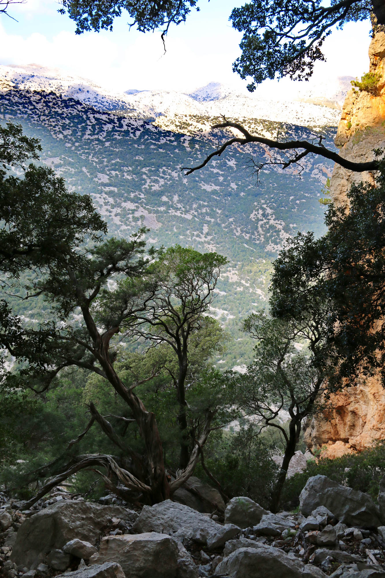 Poemas del río Wang: A cave on Mount Tiscali