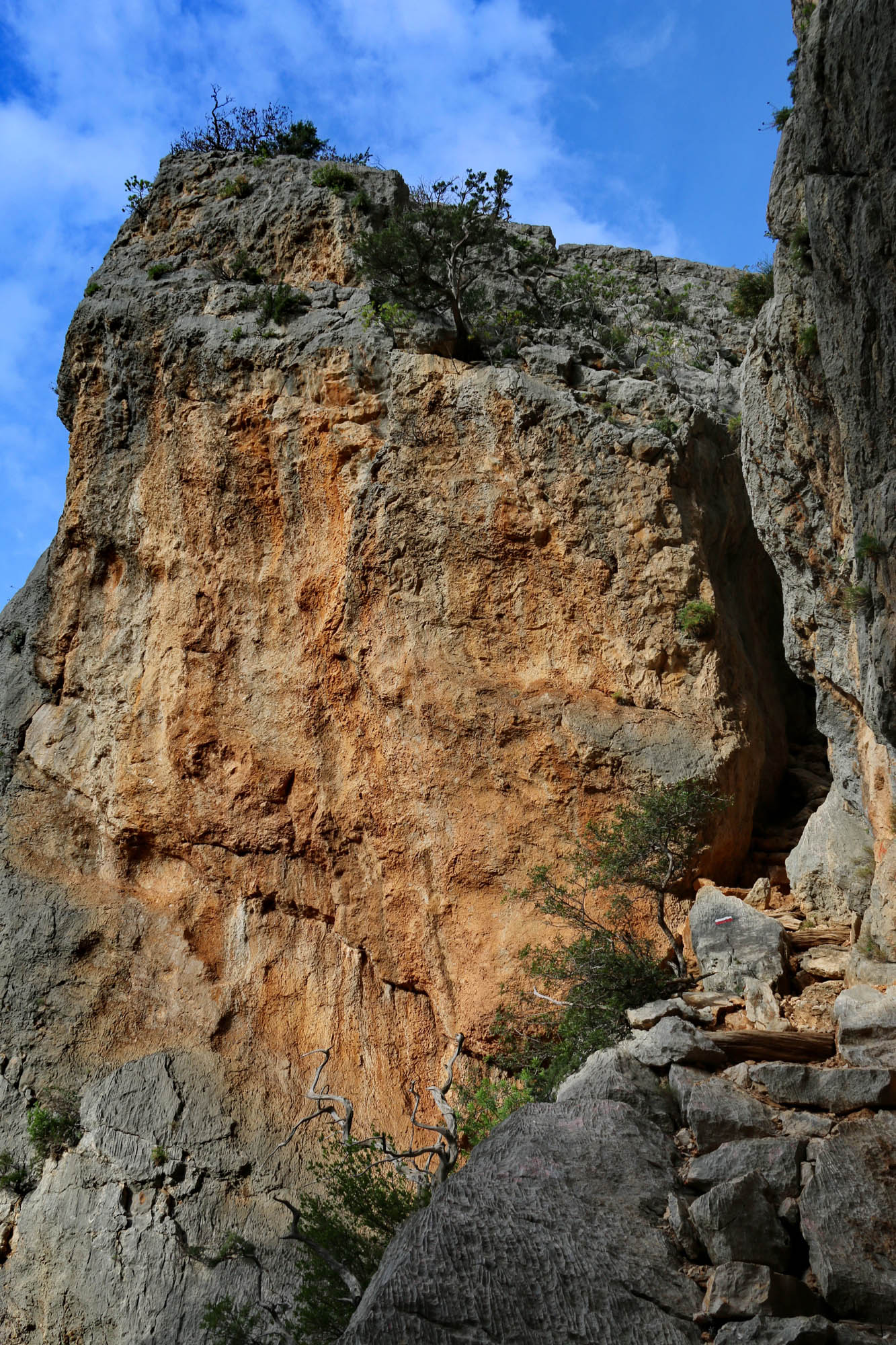 Poemas del río Wang: A cave on Mount Tiscali