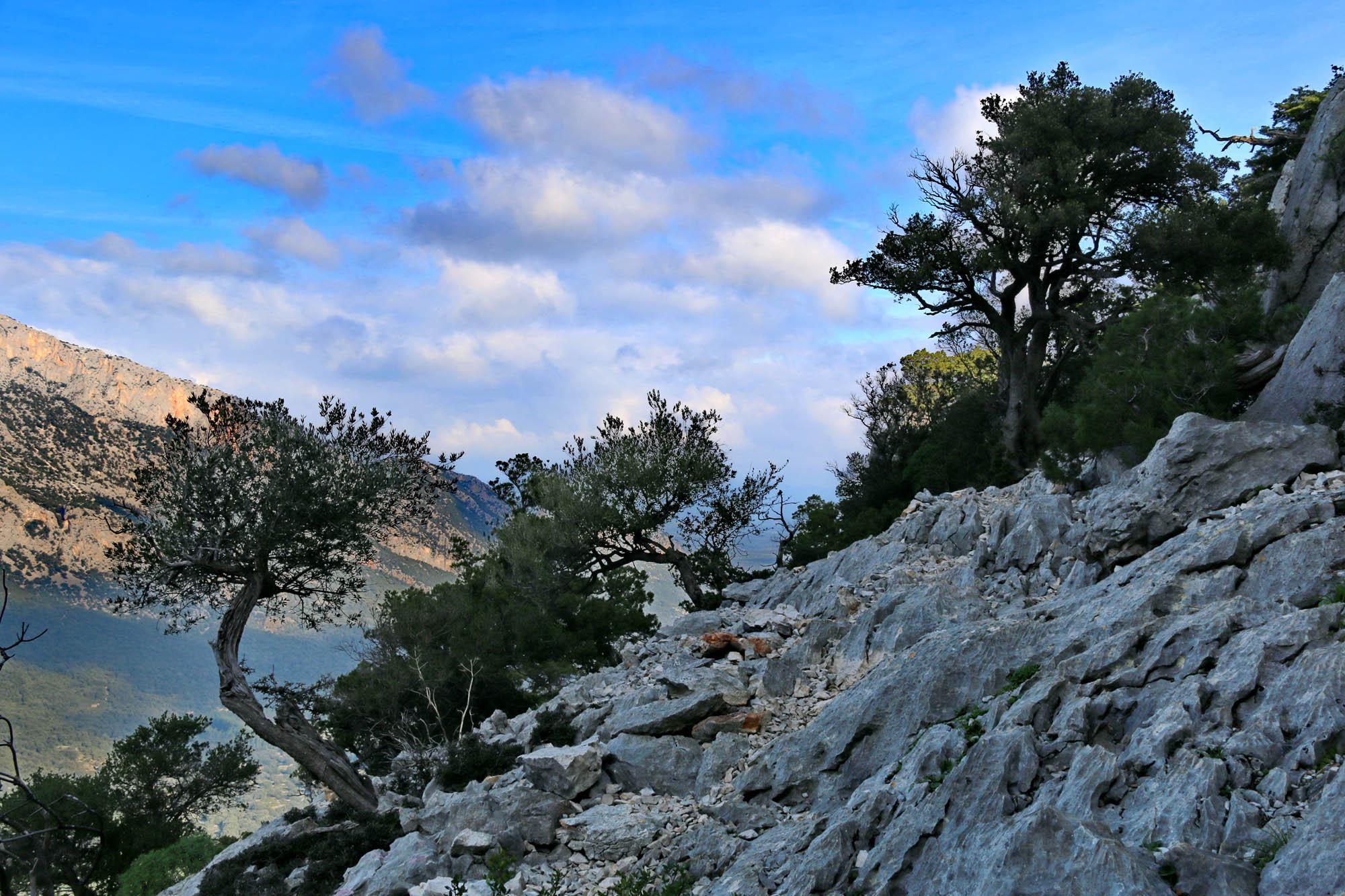 Poemas del río Wang: A cave on Mount Tiscali