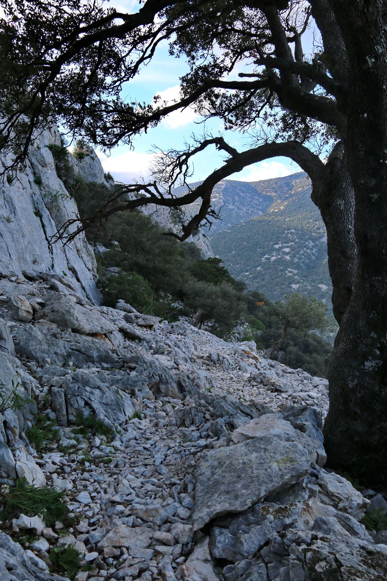 Poemas del río Wang: A cave on Mount Tiscali