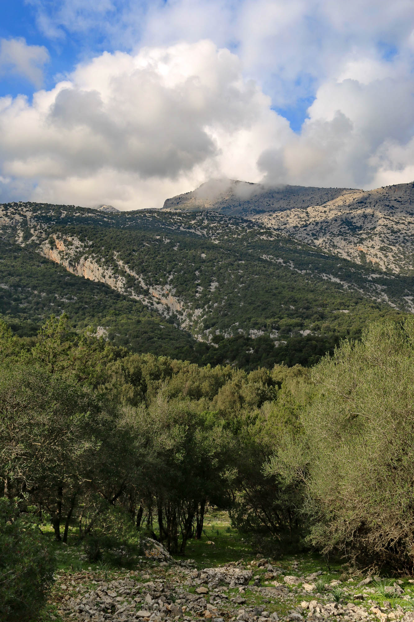 Poemas del río Wang: A cave on Mount Tiscali