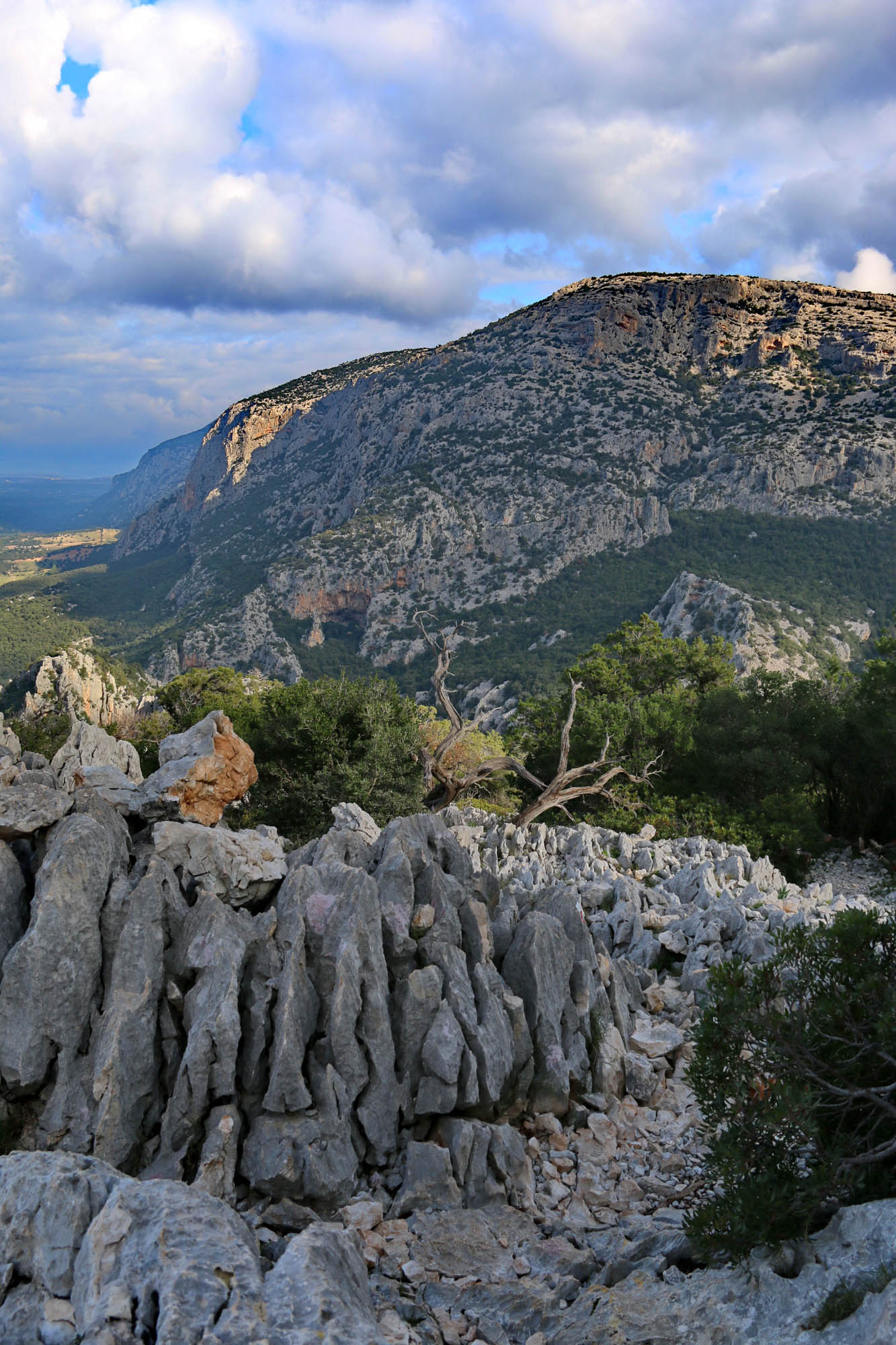 Poemas del río Wang: A cave on Mount Tiscali