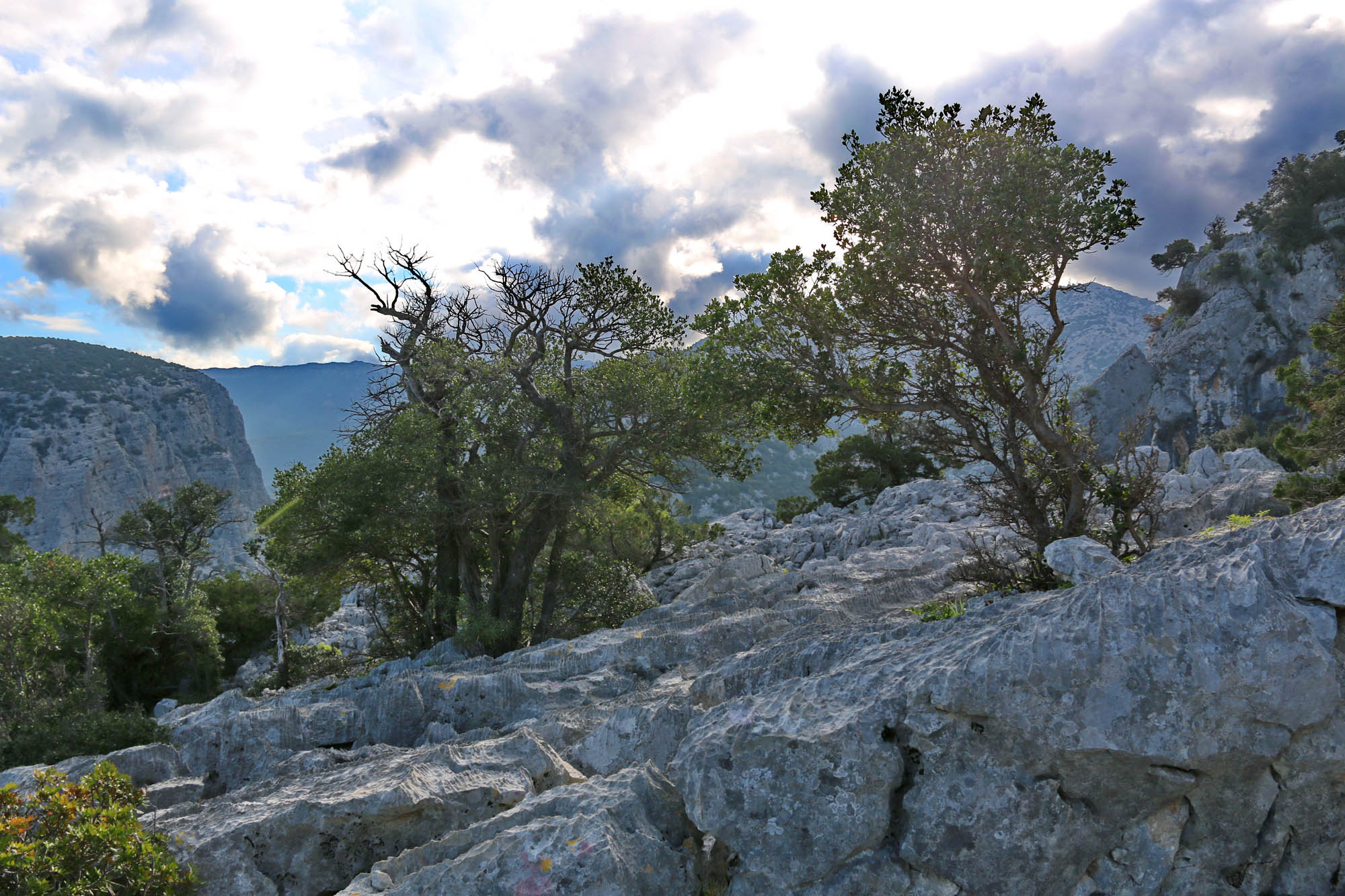 Poemas del río Wang: A cave on Mount Tiscali