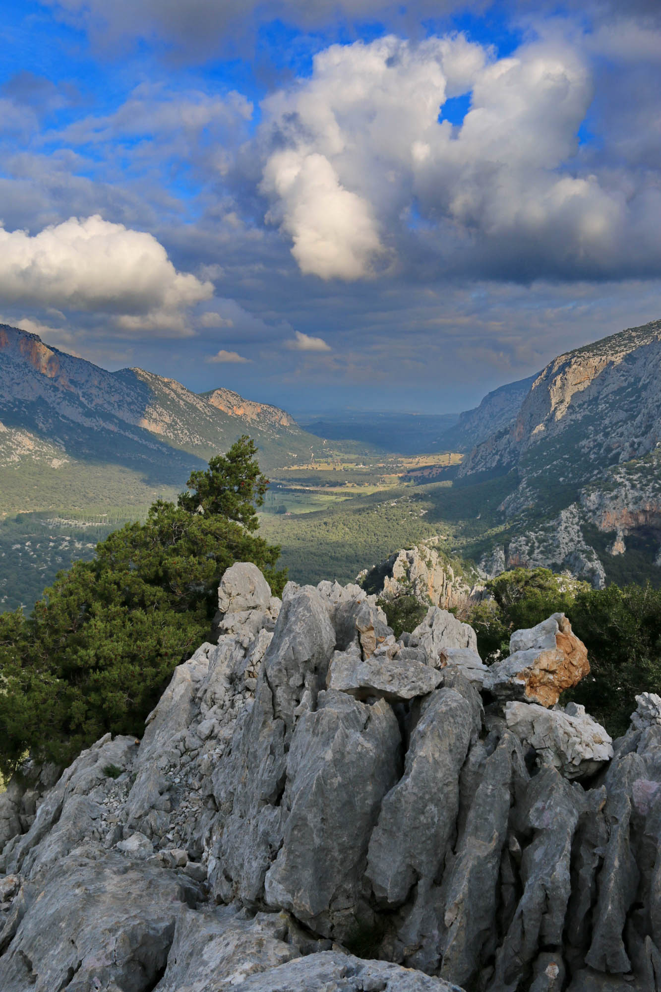 Poemas del río Wang: A cave on Mount Tiscali