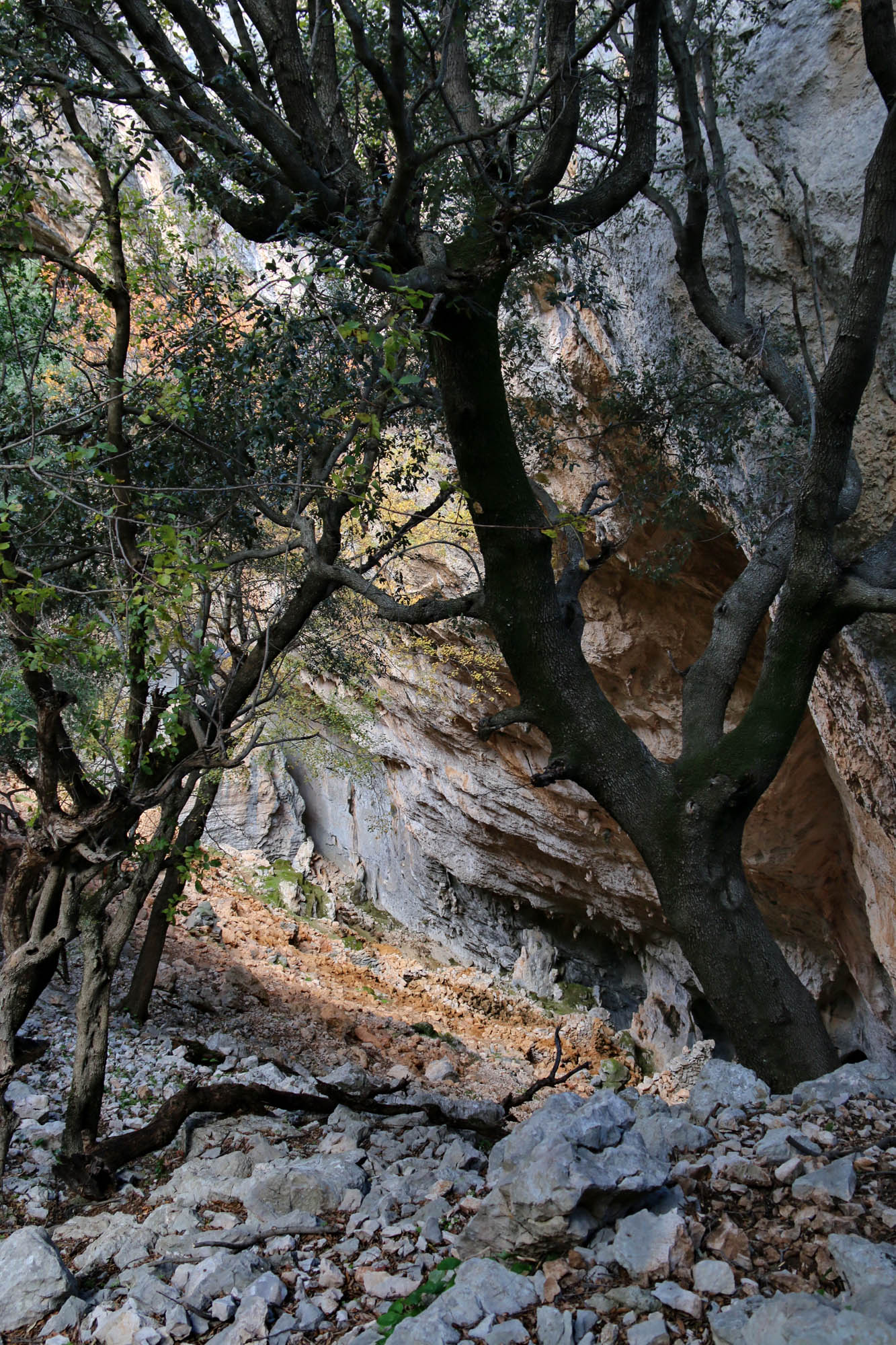 Poemas del río Wang: A cave on Mount Tiscali