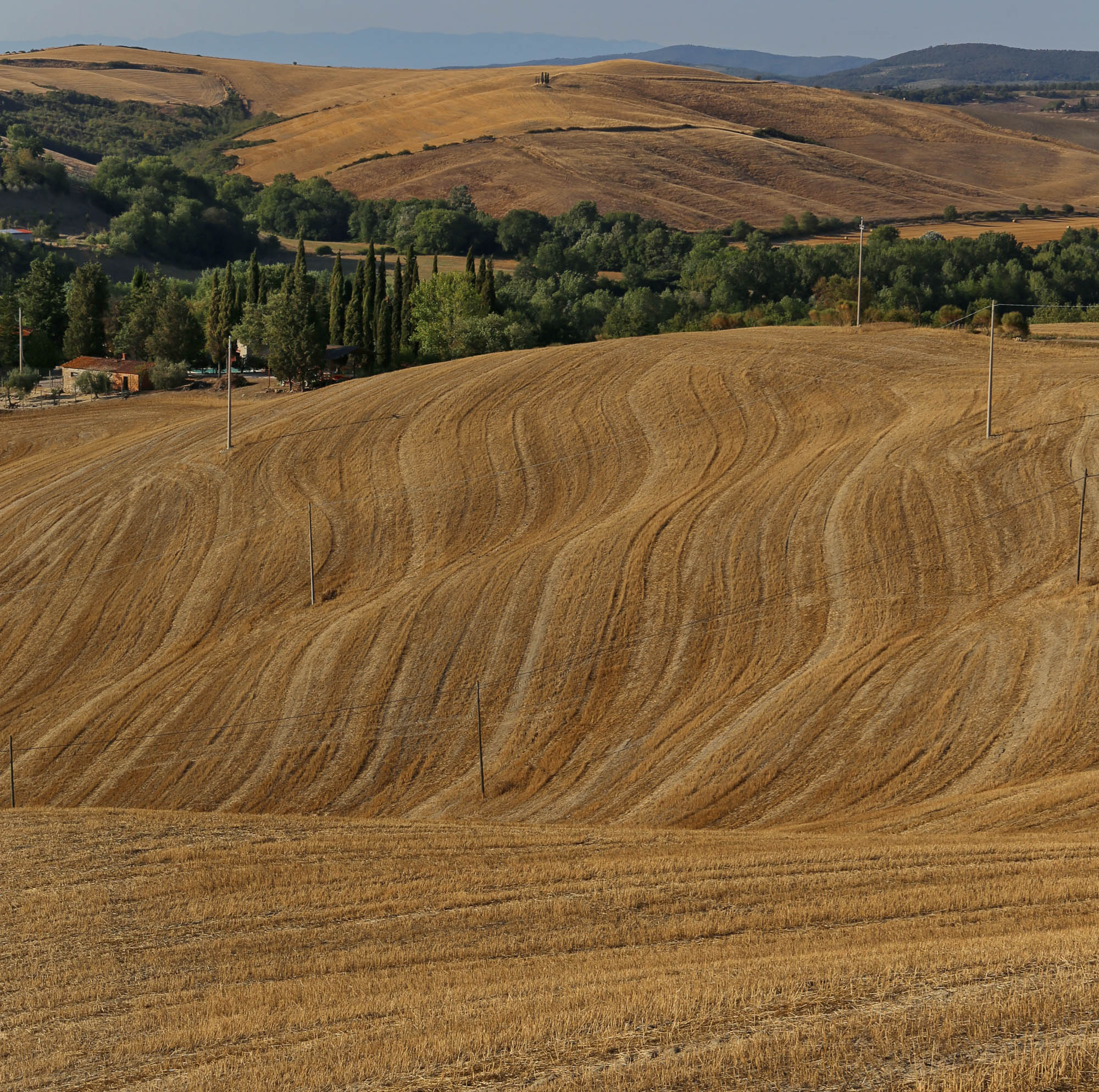 Poemas del río Wang: agosto 2017