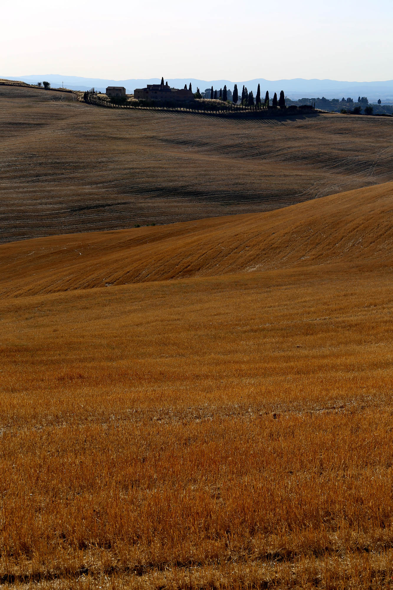 Poemas del río Wang: agosto 2017