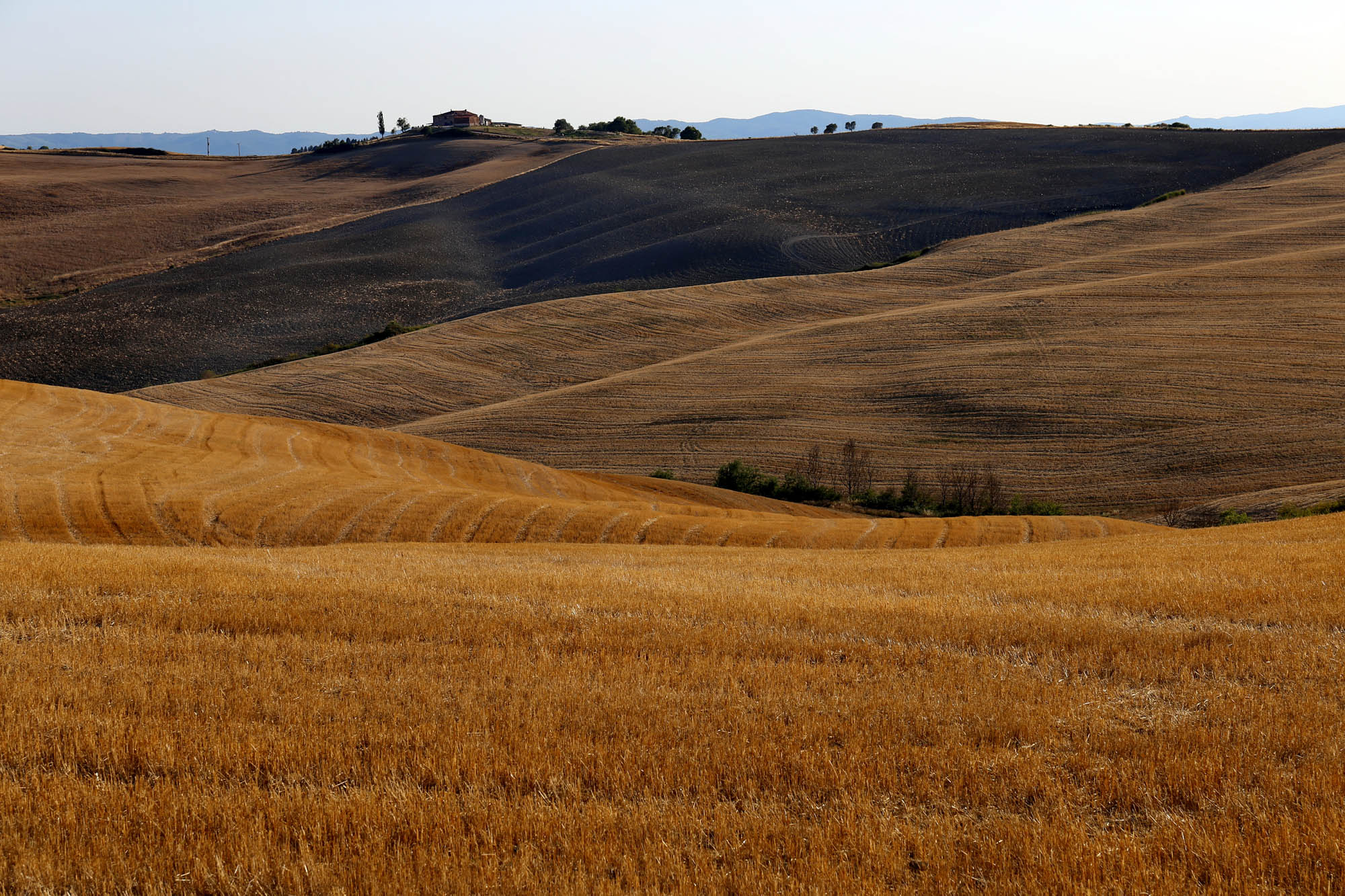 Poemas del río Wang: agosto 2017