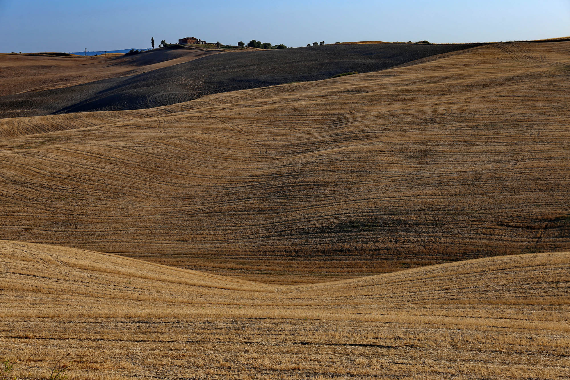 Poemas del río Wang: agosto 2017