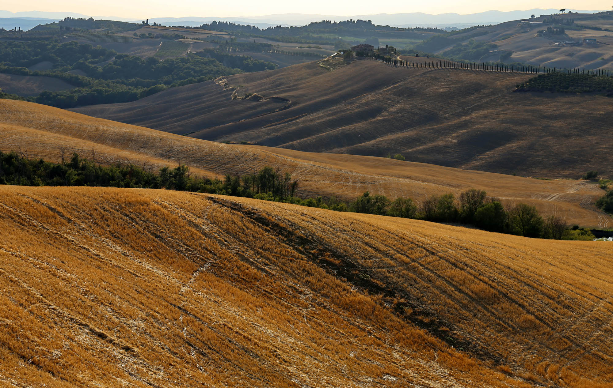 Poemas del río Wang: agosto 2017