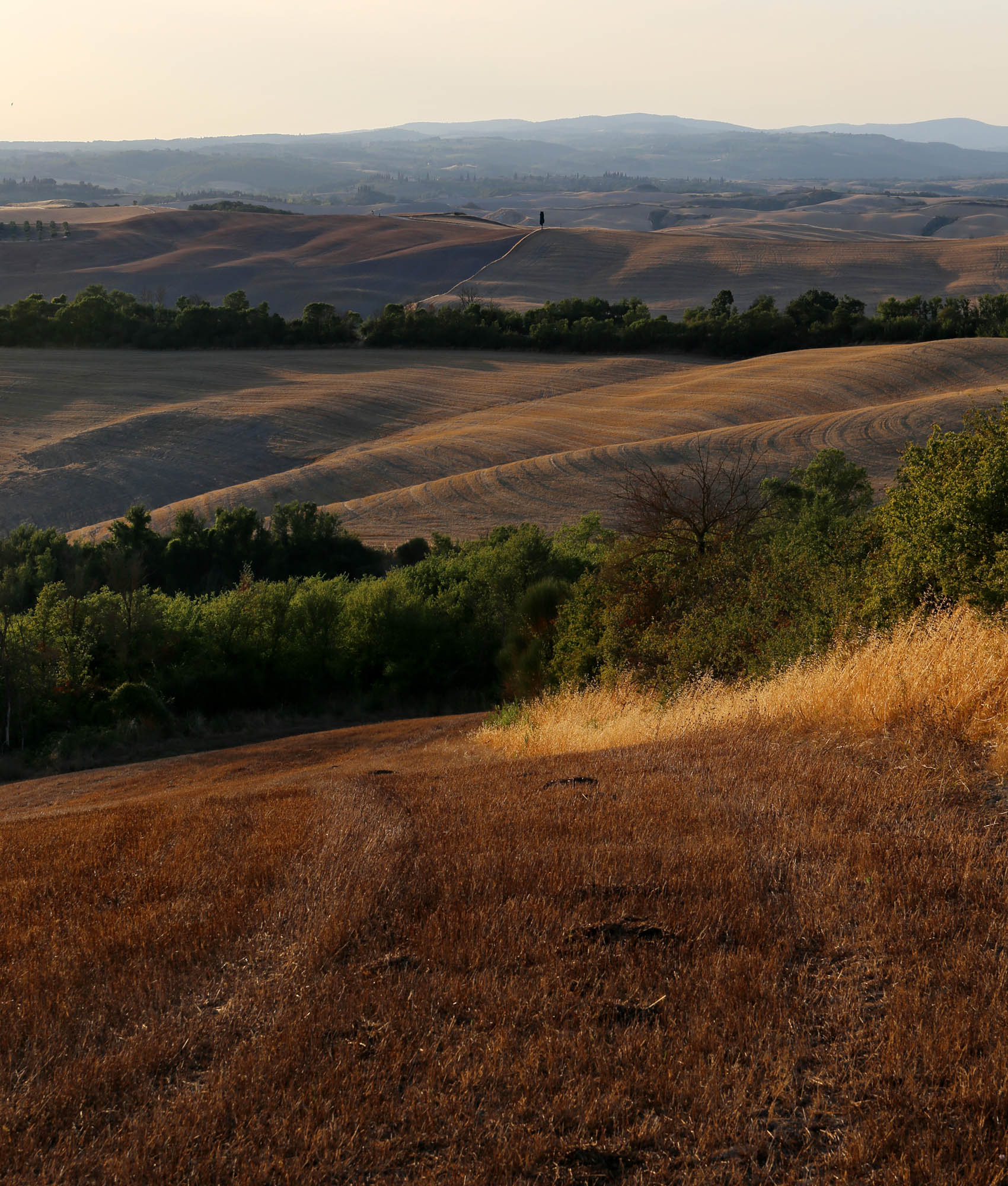 Poemas del río Wang: agosto 2017