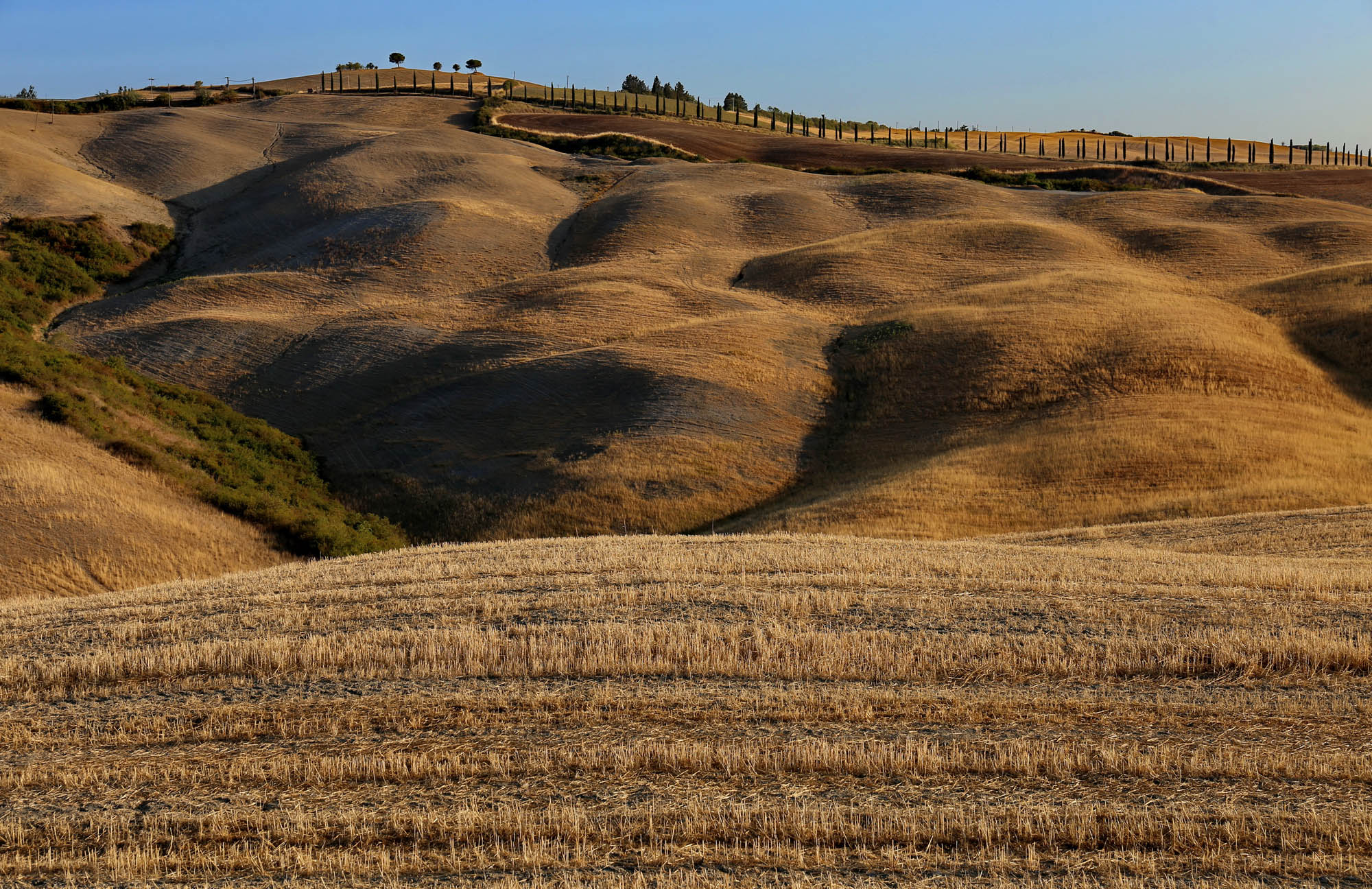 Poemas del río Wang: agosto 2017