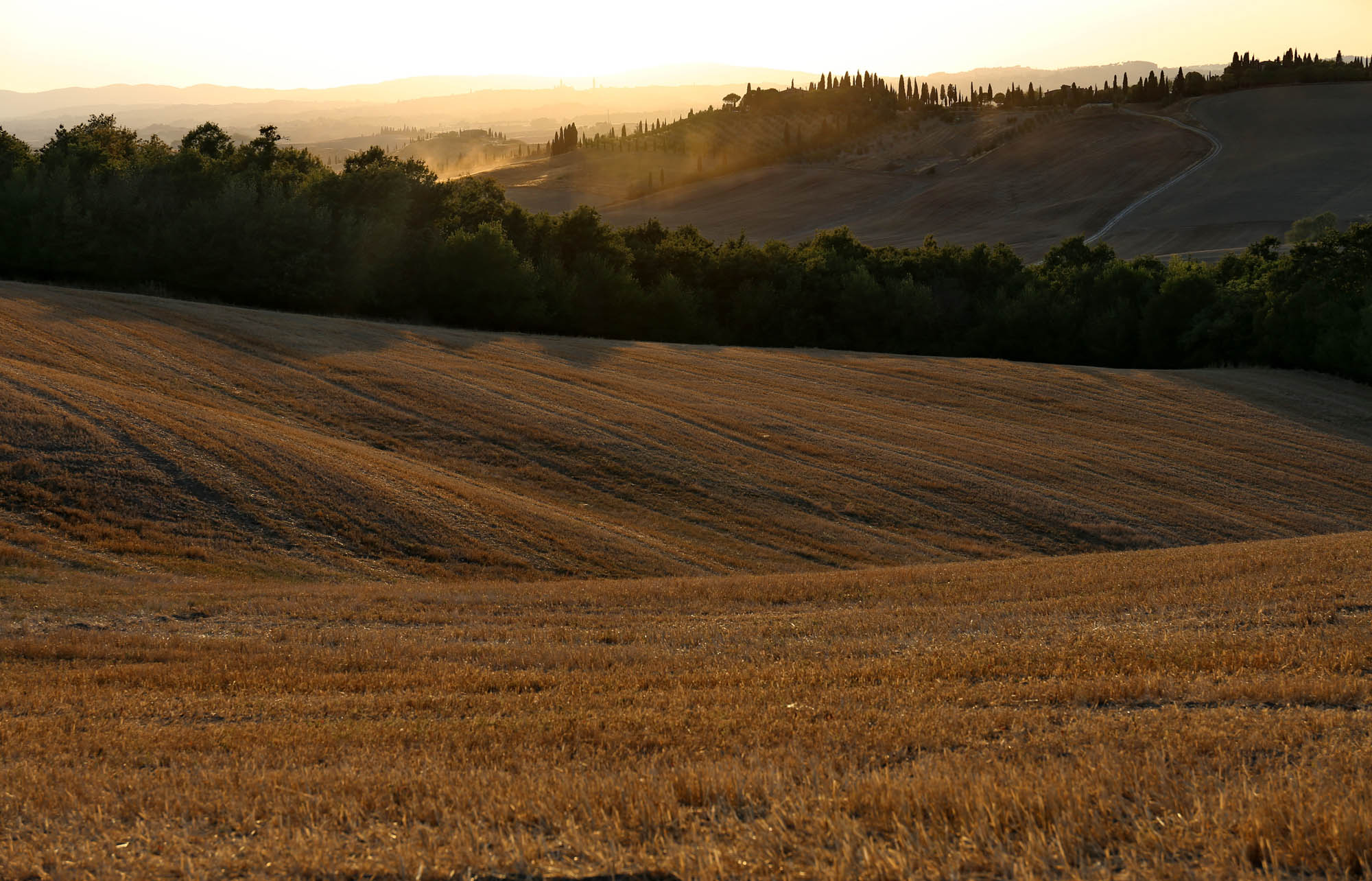 Poemas del río Wang: agosto 2017
