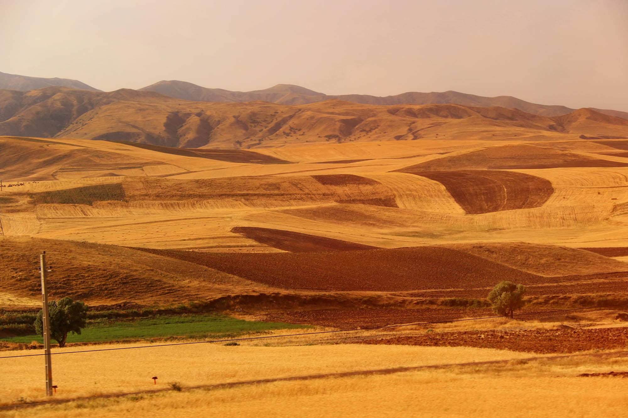 Poemas del río Wang: Sultan Savalan