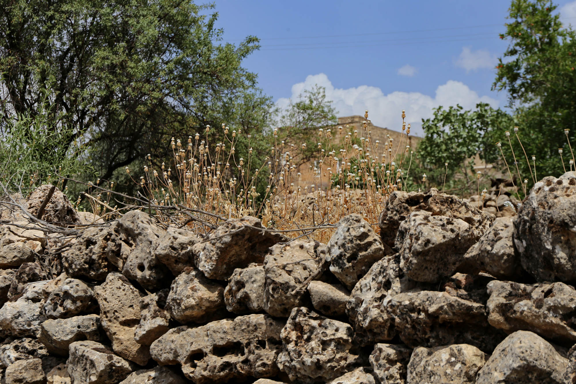 Poemas del río Wang