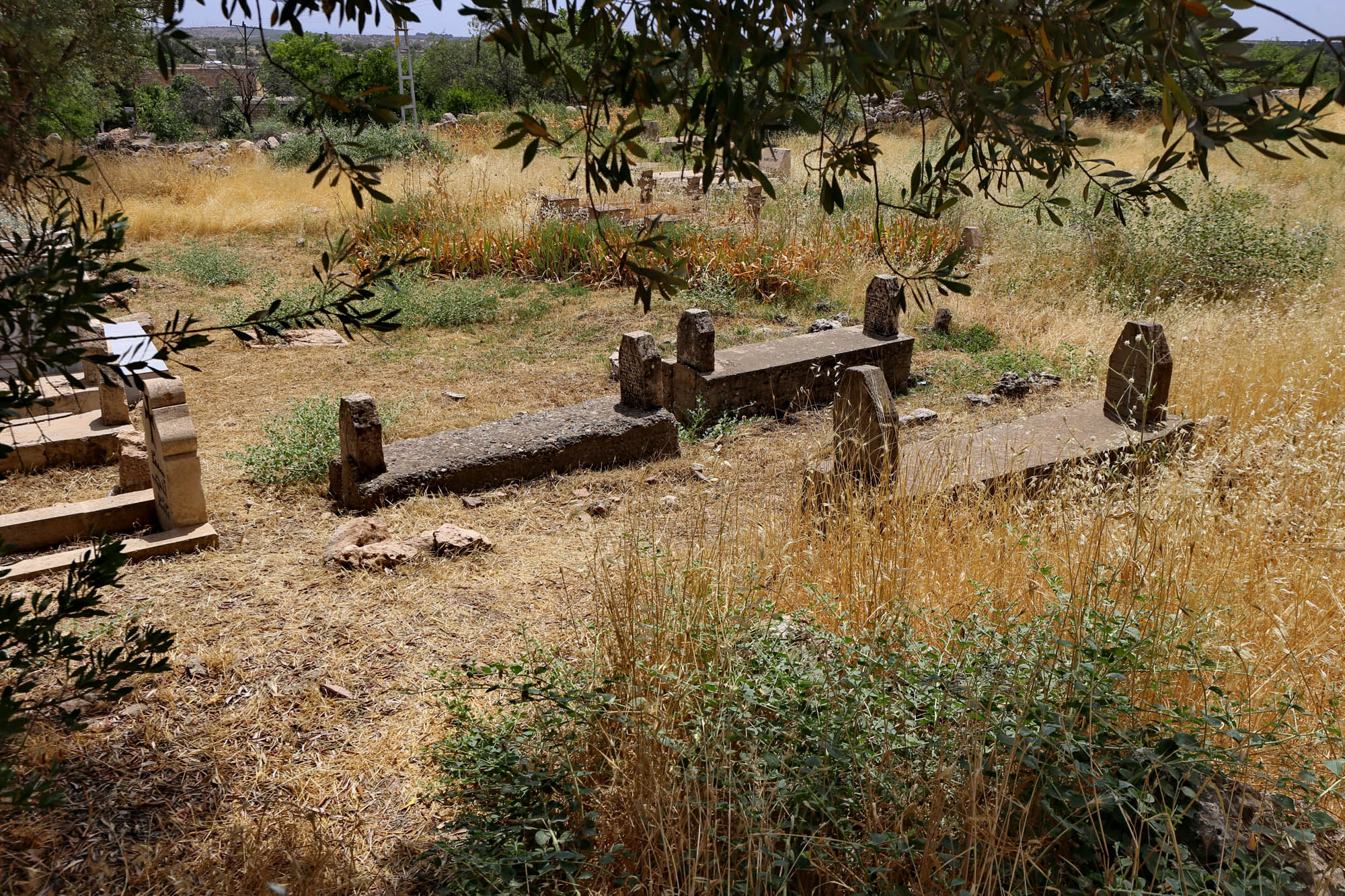 Poemas del río Wang